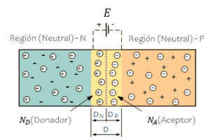 Teoría de la Unión PN | 【 Todo sobre Diodos